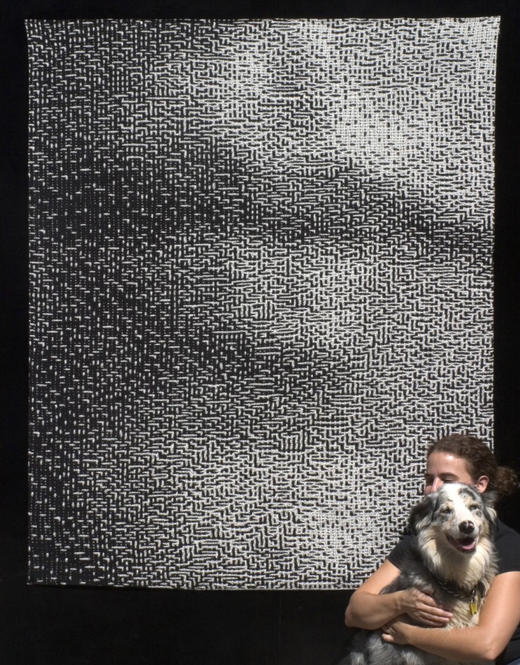 Bridge 11:Lia Cook | Houston Center for Contemporary Craft