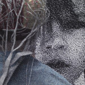 Bridge 11:Lia Cook | Houston Center for Contemporary Craft